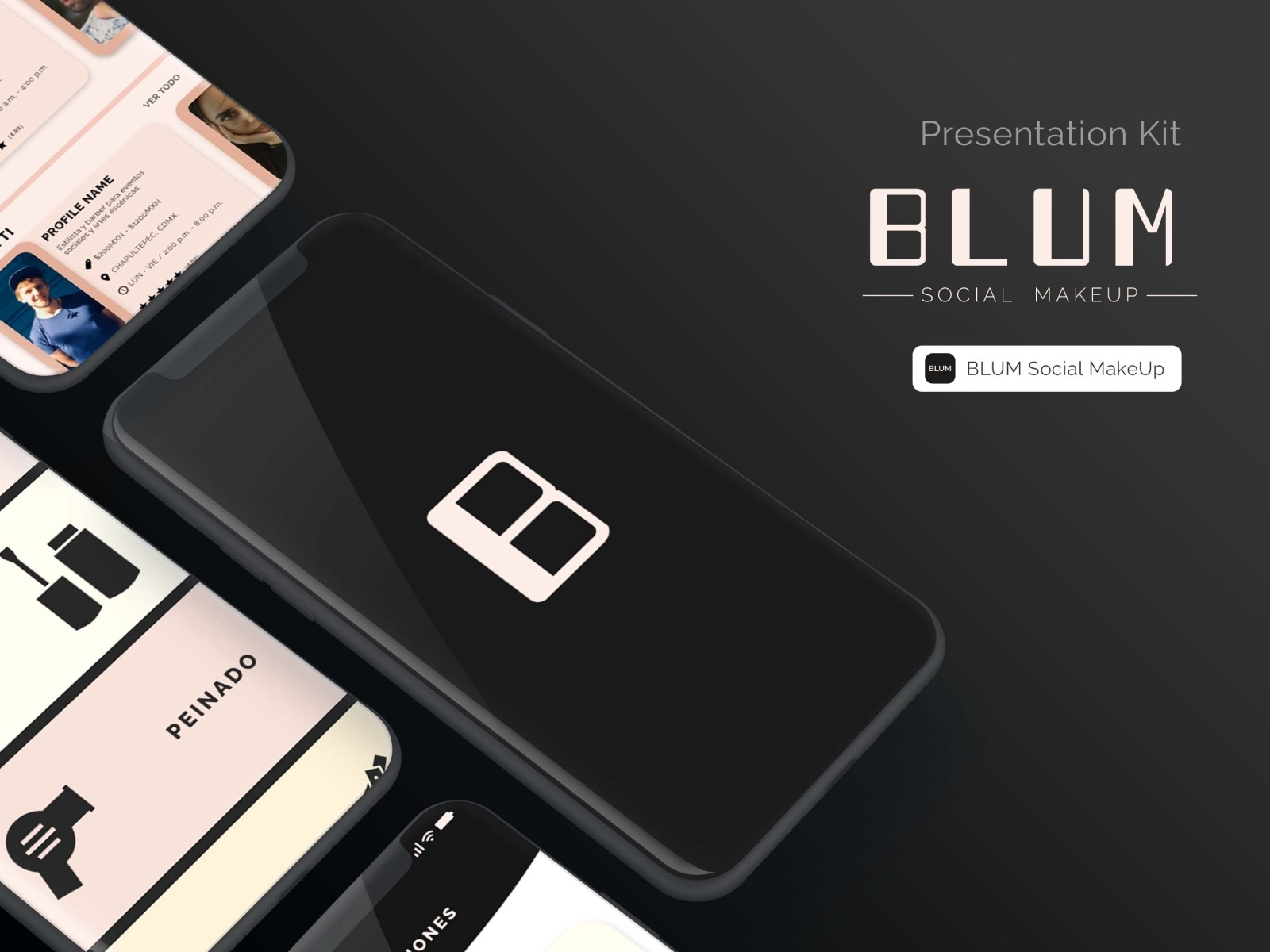 BLUM Social Makeup by Luis Mendoza on Dribbble