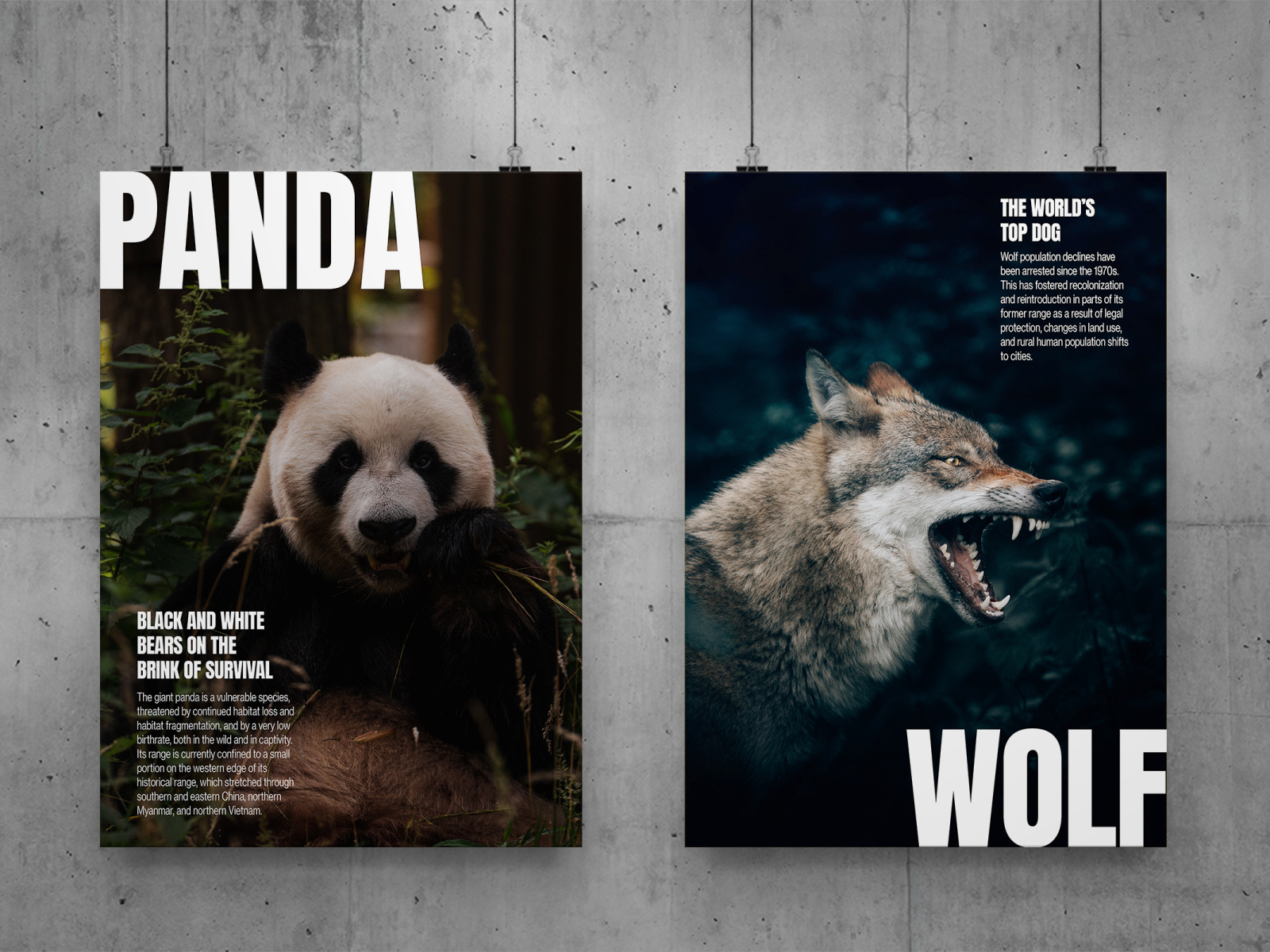 Animal Poster Design by Marija Đekić on Dribbble