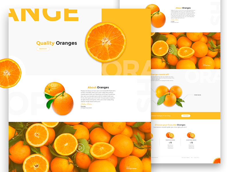 Orange Website by Wladchen on Dribbble