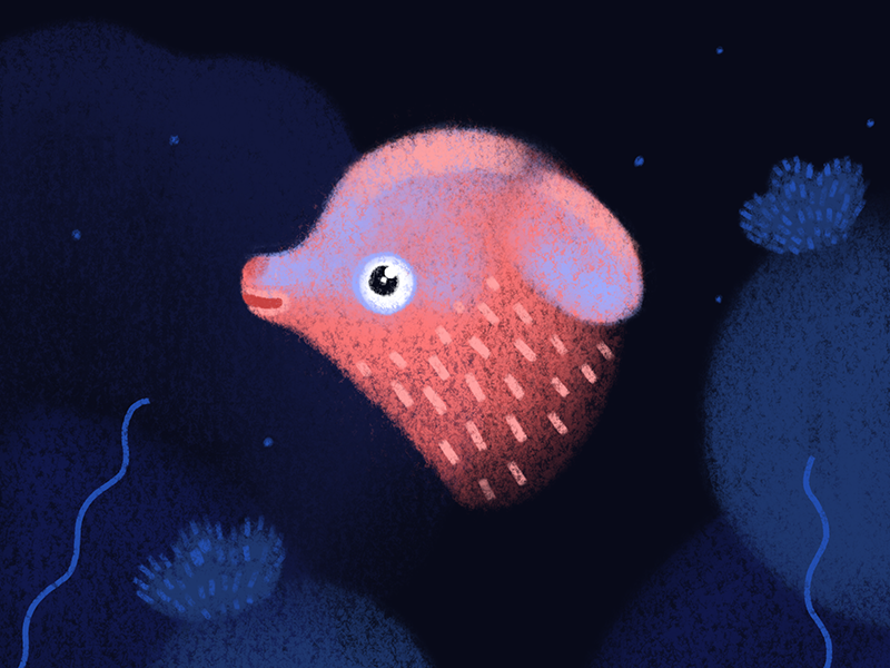 psst by Kaela Stewart on Dribbble
