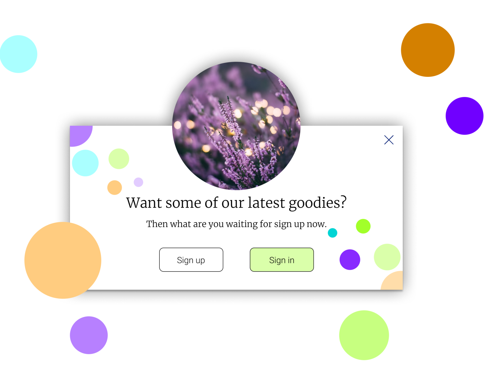 Pop up by Ritika sahani on Dribbble