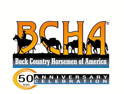 BCHA Logo by Jeto Babuna on Dribbble