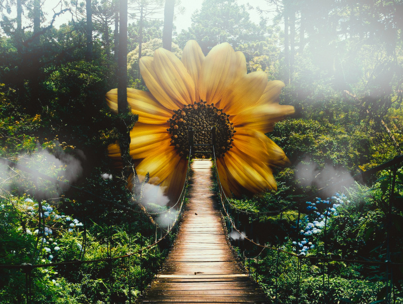 Flor en el bosque by Aneth Charles on Dribbble