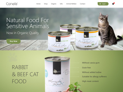 Canelis by UI/ UX designer on Dribbble