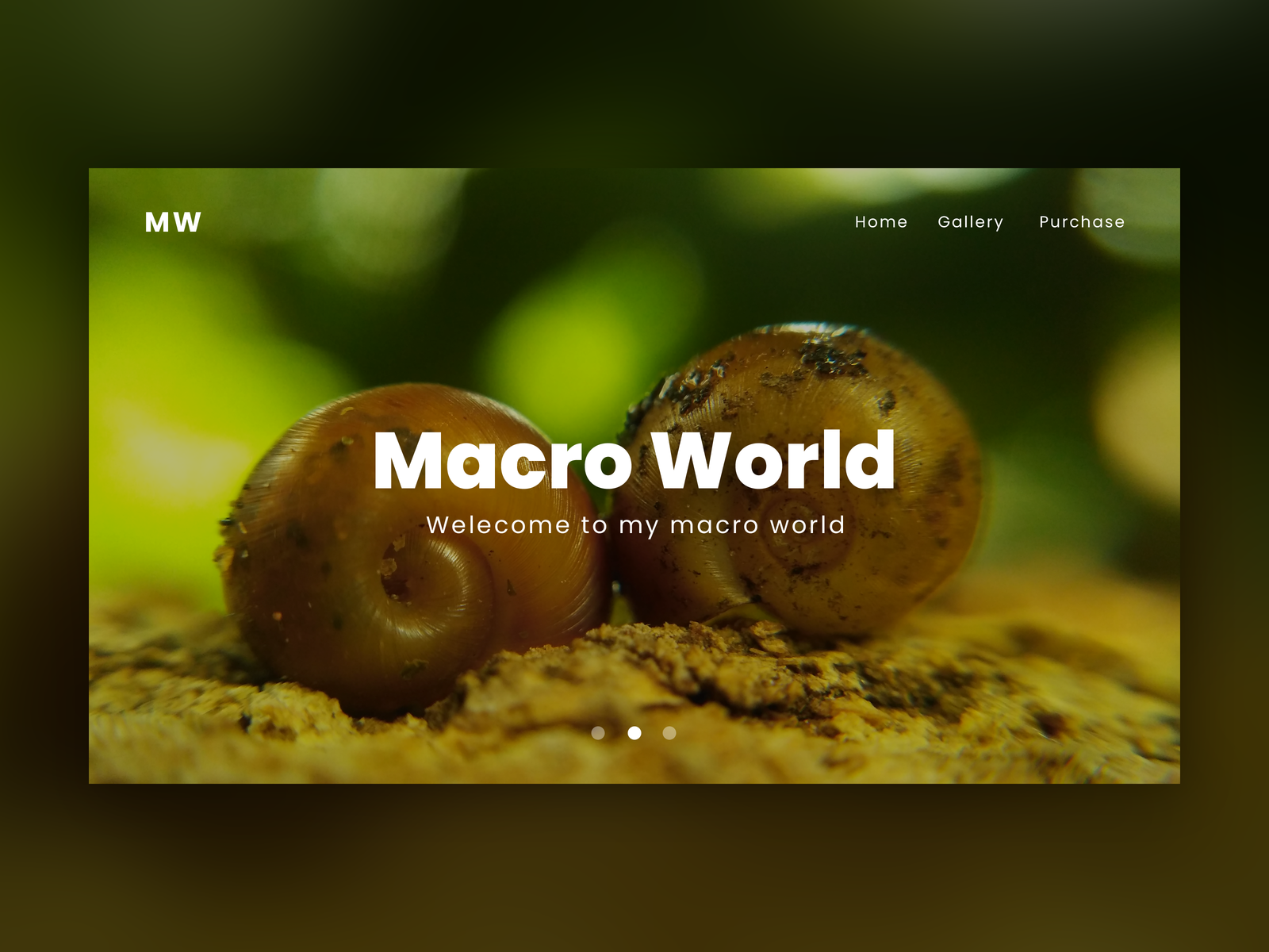 Macro World by Krishnajith on Dribbble