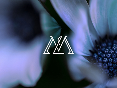 ML Monogram by Tjasha Abraham | Silkyluss on Dribbble