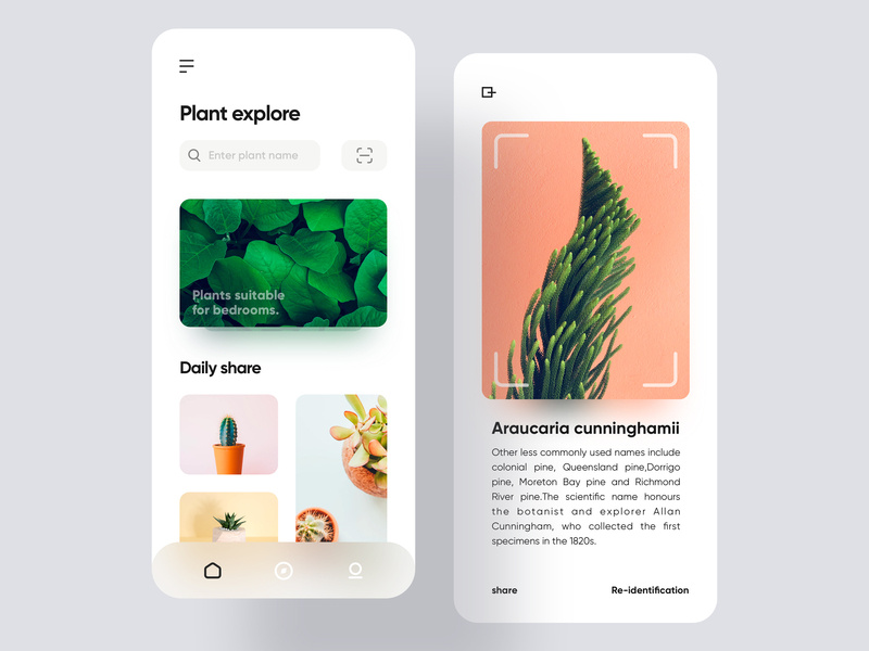 Plant Recognition Interface By Zachery Wang For RaDesign On Dribbble Plant Recognition Interface By Zachery Wang For RaDesign On Dribbble
