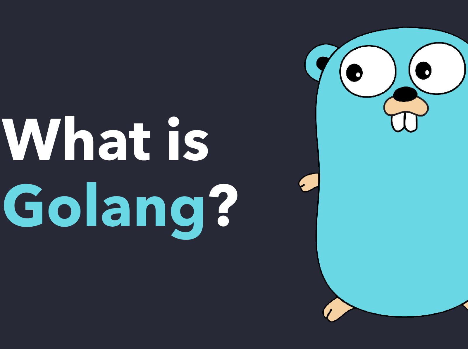 What is Golang? by Rahul sharma on Dribbble