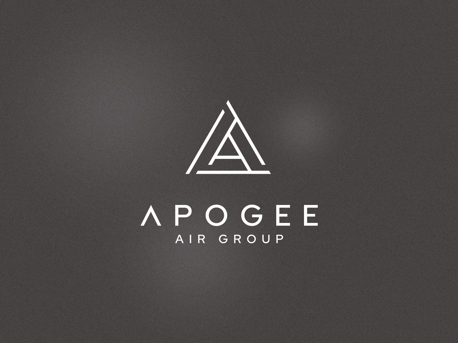 Airline Logo Design by Sanja Lazarevic on Dribbble