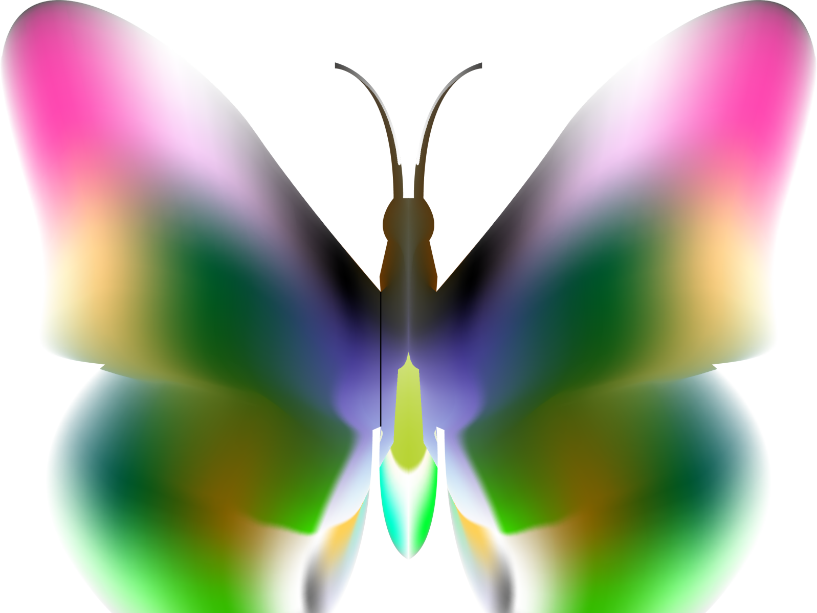 hand made butterfly with Mash Tool by A.S Graphics Designers on Dribbble