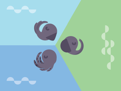 Raven Elephant Octopus (Sky Land Ocean) by priyankagodbole on Dribbble