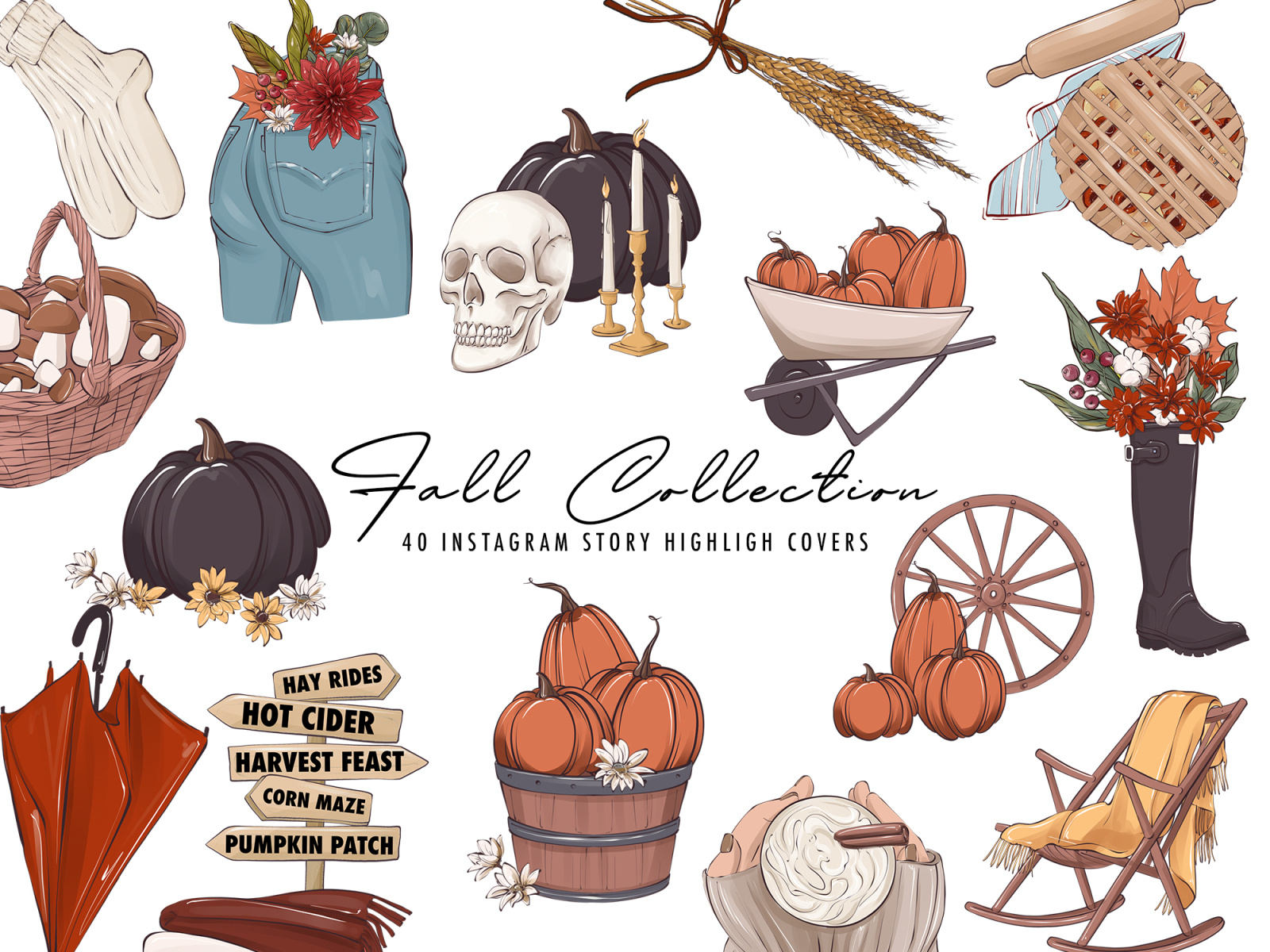 Fall clipart autumn pumpkin patch by Milatoo on Dribbble