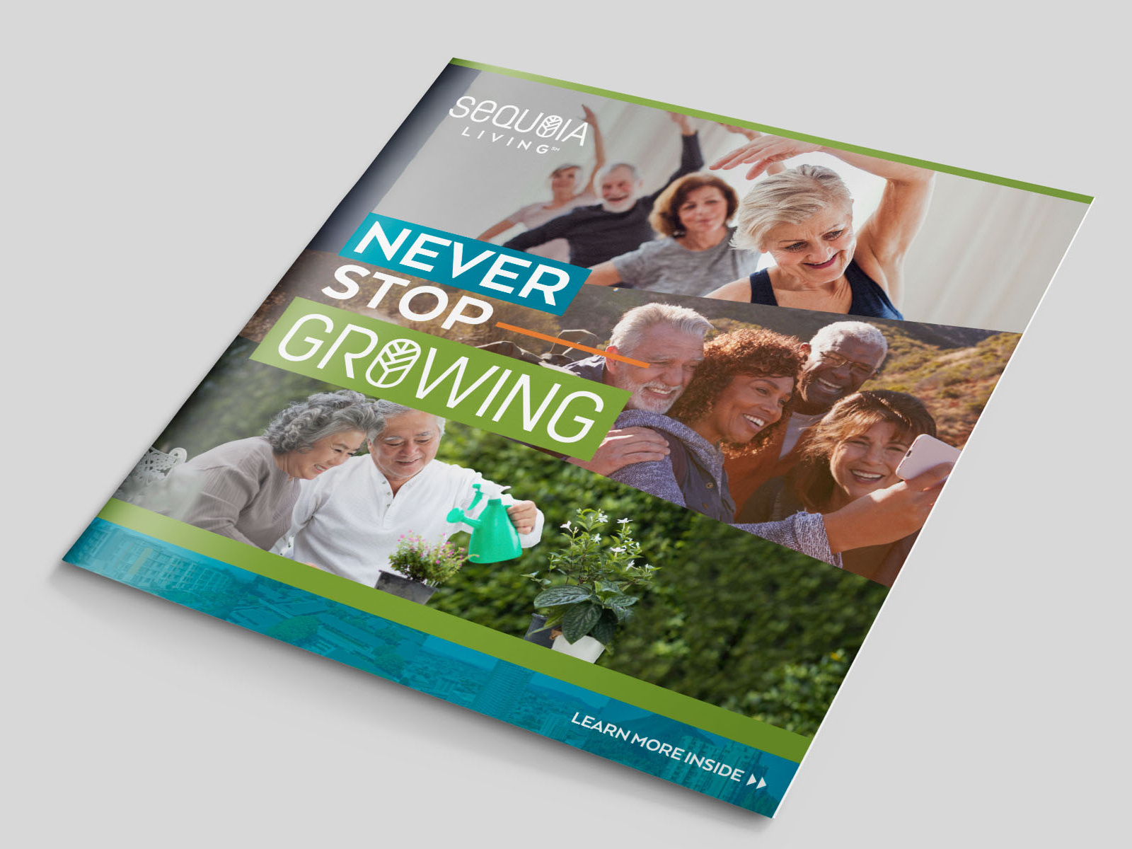 Sequoia Living Newspaper Insert Cover Design by Tim D'Agostino on Dribbble