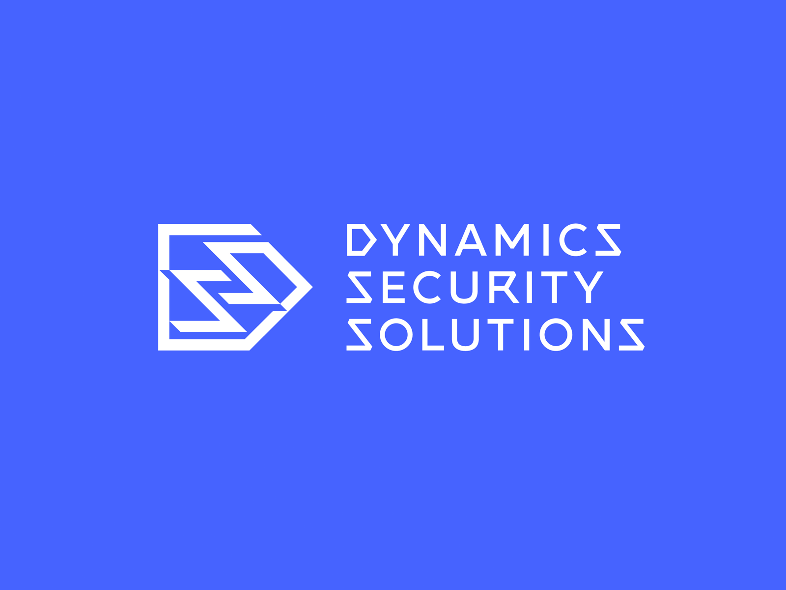 Dynamics Security Solutions by Tamara Radke on Dribbble