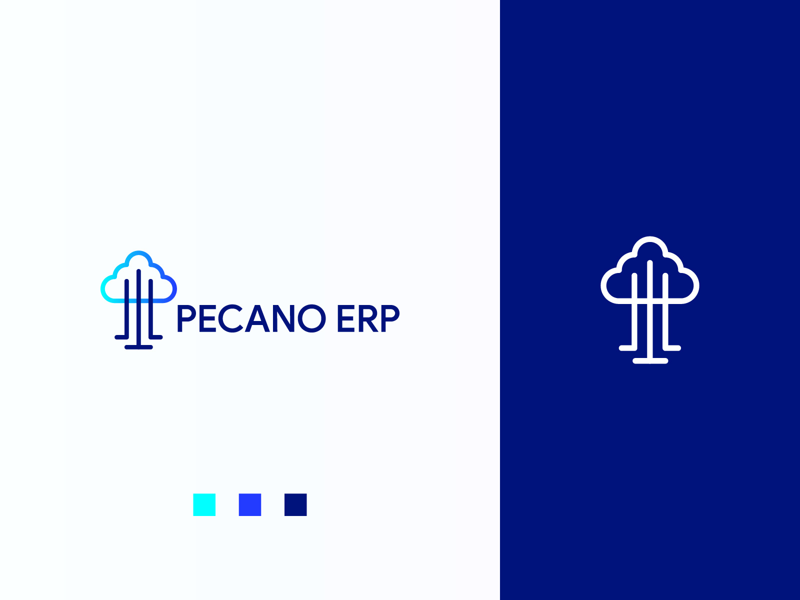 Pecano - Final Logo by Nauman Muzammal on Dribbble