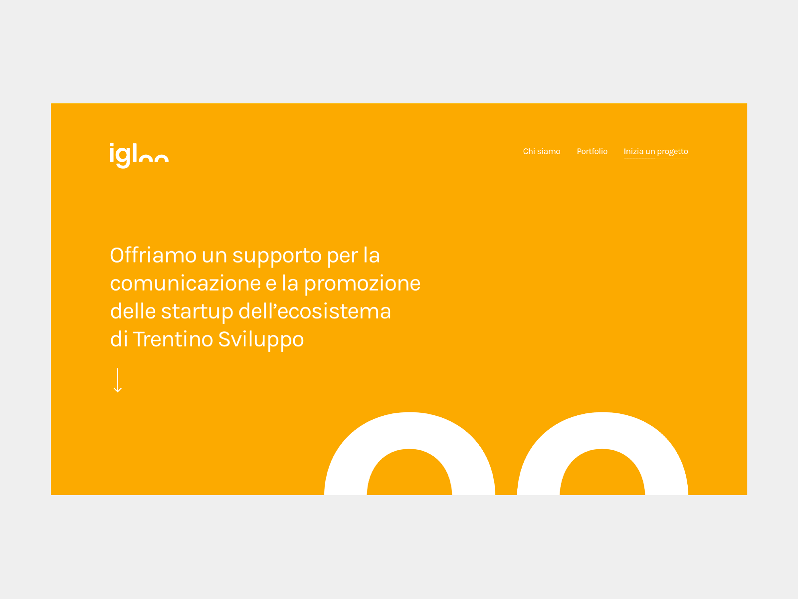 Igloo Graphic Website by Sara Groblechner on Dribbble