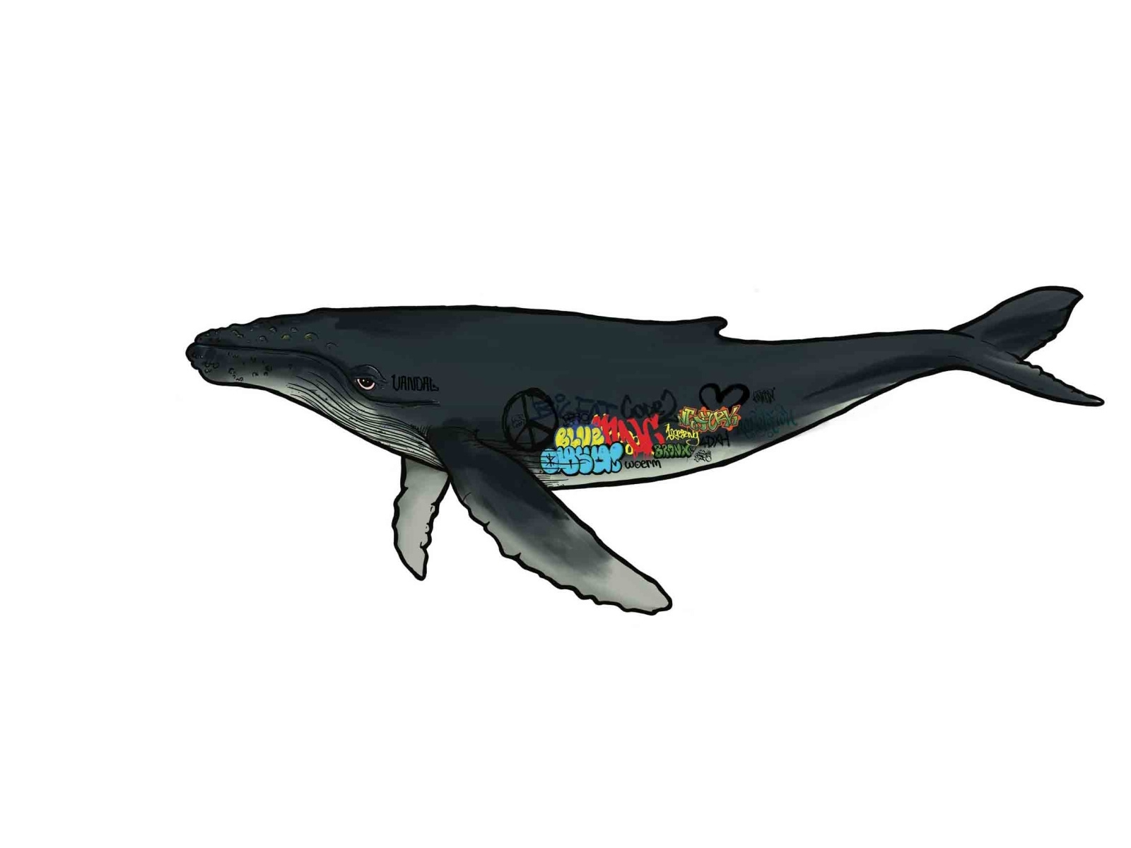 Graffiti whale by Woerm on Dribbble