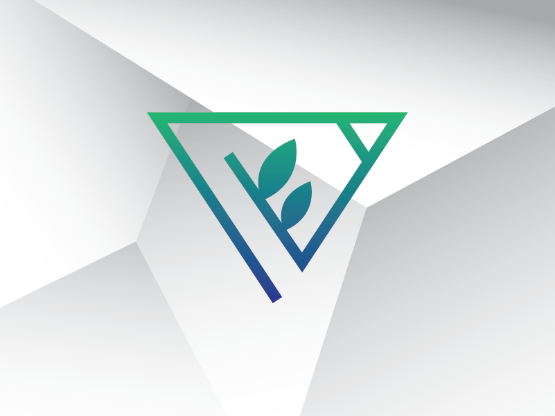 Leaf And Triangle Logo by Heavtryq on Dribbble