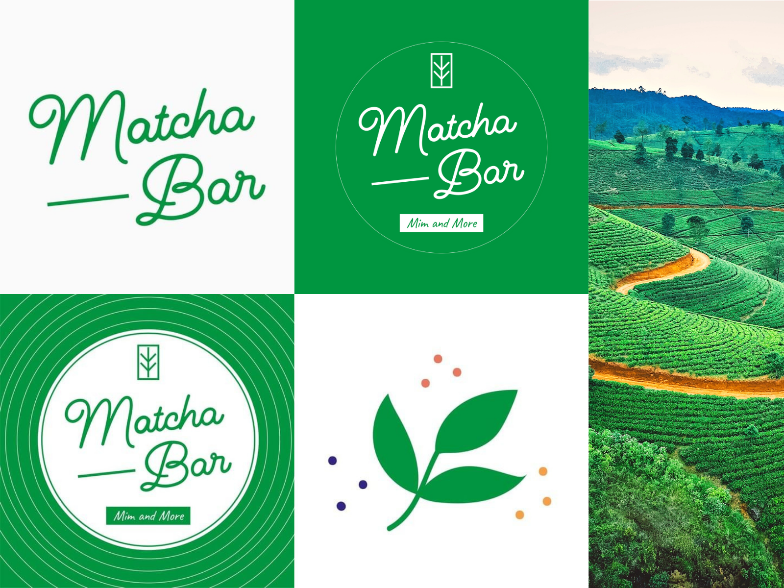 Matcha Bar - Logo & Branding by Luminara Creative Studio on Dribbble