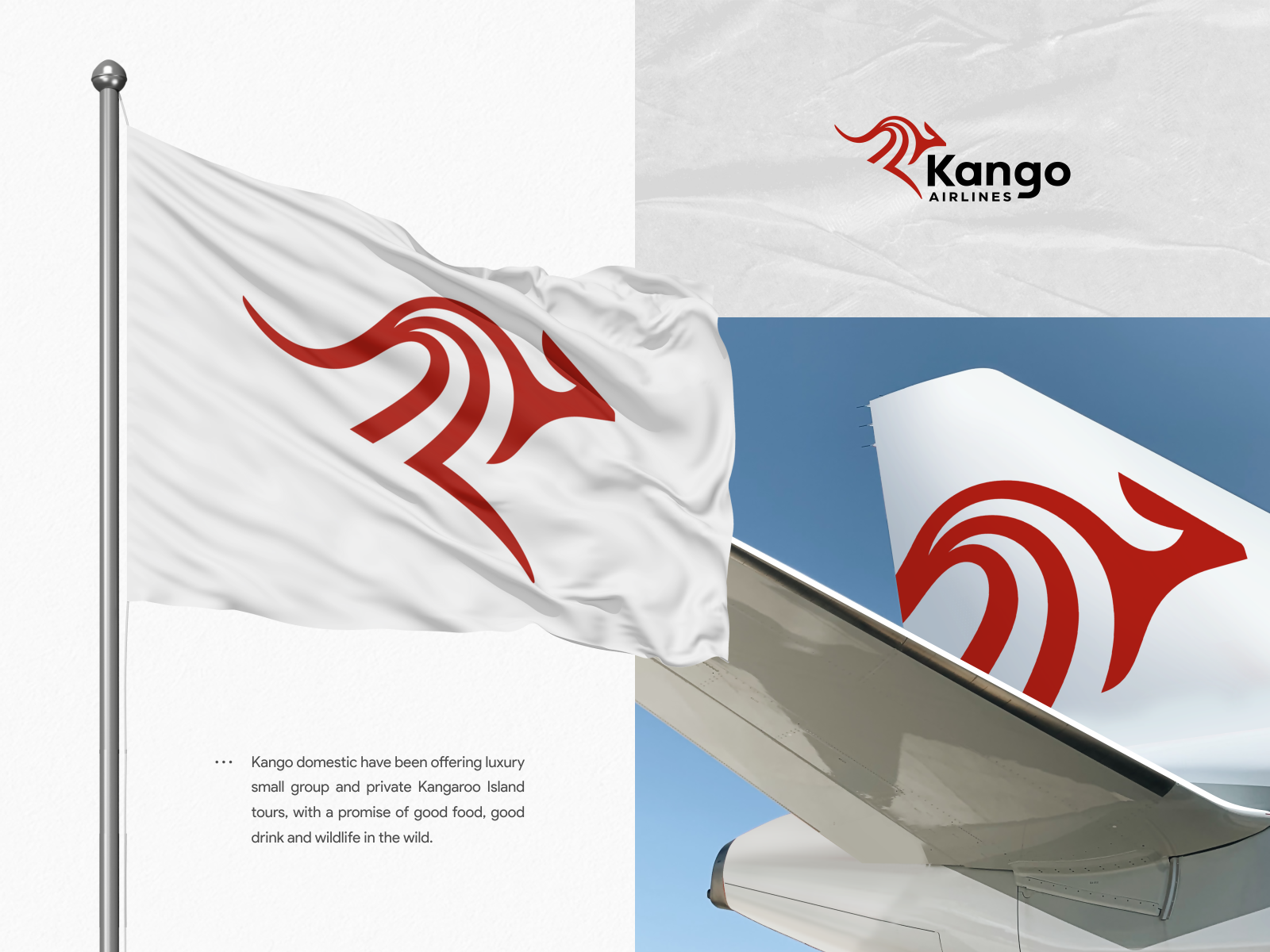 Kango Airlines Logo by Artikles7 on Dribbble