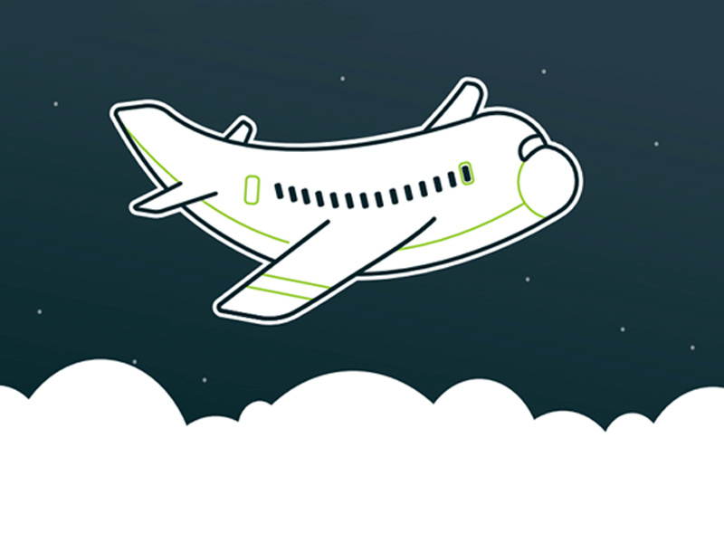 Fatplane by Dalaney LaGrange on Dribbble