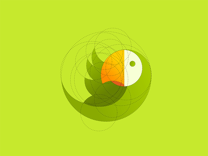 Bird by Cobra_20 on Dribbble