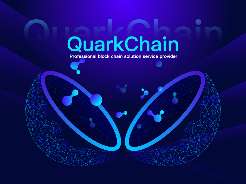 QuarkChain design by Anki on Dribbble