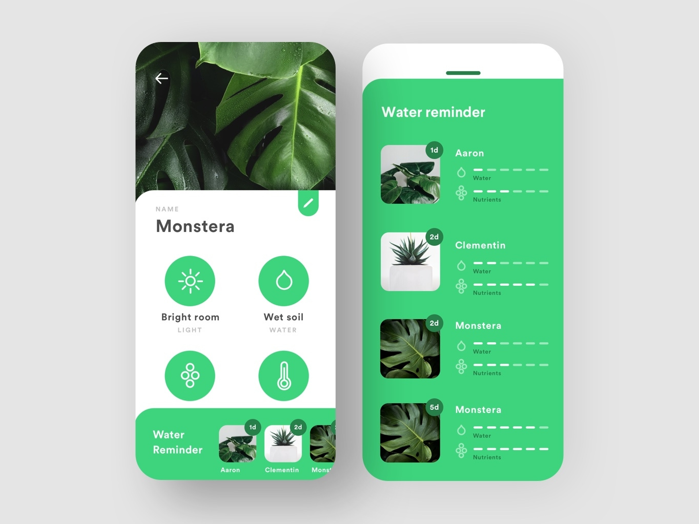 Plant Application by Studio Baseline on Dribbble