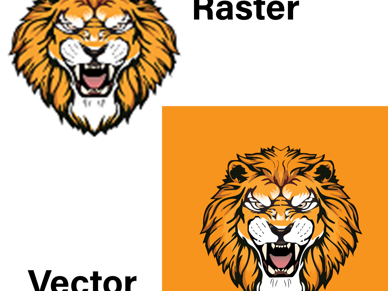 Vector tracing in adobe illustrator by AllahNoor Bangash on Dribbble