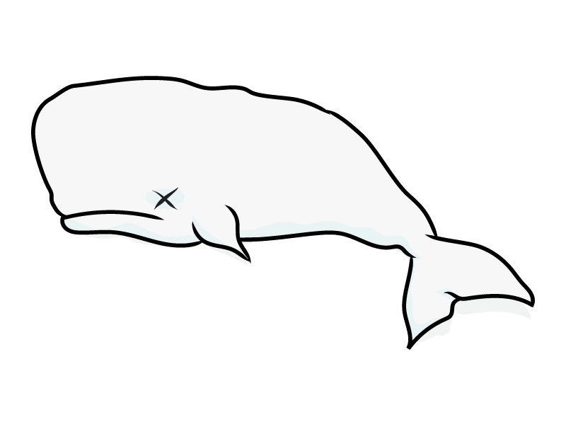 Dead Whale by Mike Costanzo on Dribbble