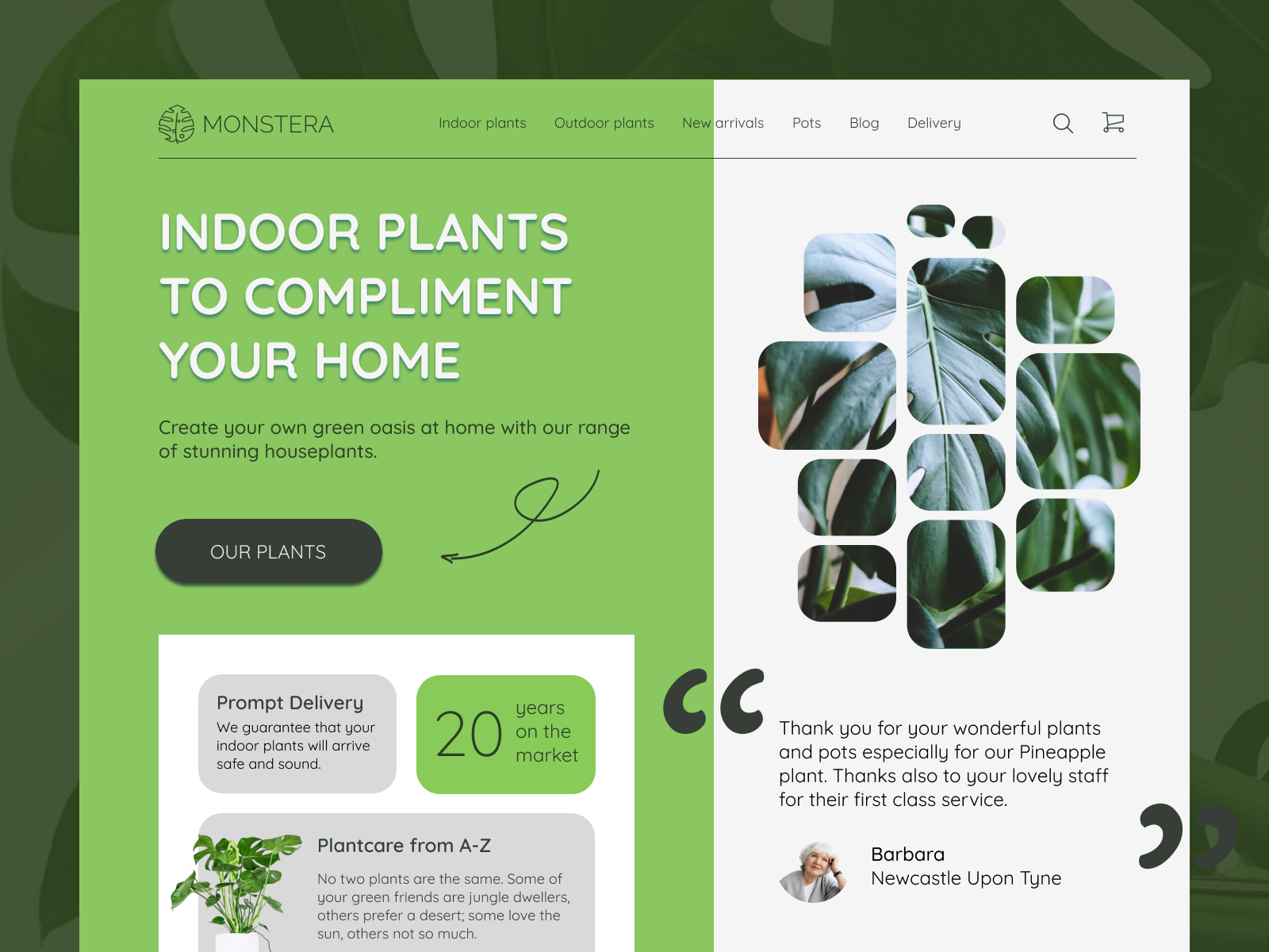 House plants landing page by Yulia on Dribbble