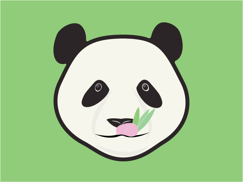 Panda by Shohan Mallik on Dribbble