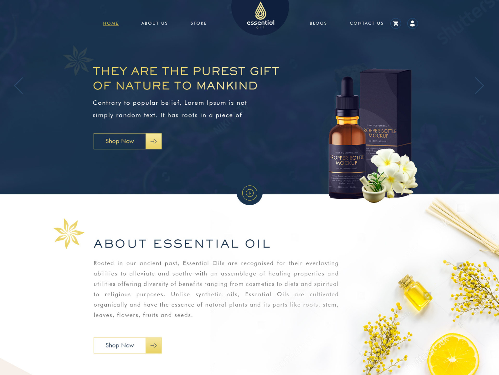 Essential Oil Website Homepage by Ravindra Bhalekar on Dribbble