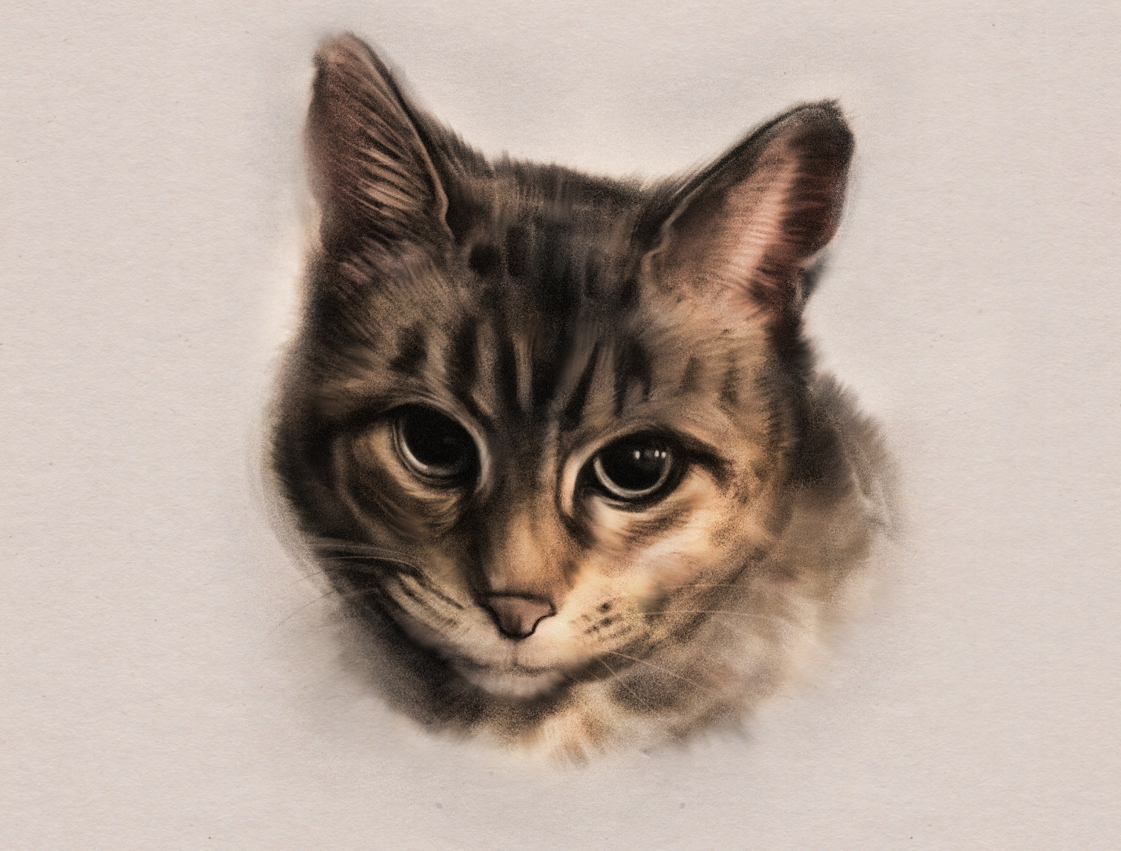 Kit the Cat by Joe Wilper on Dribbble