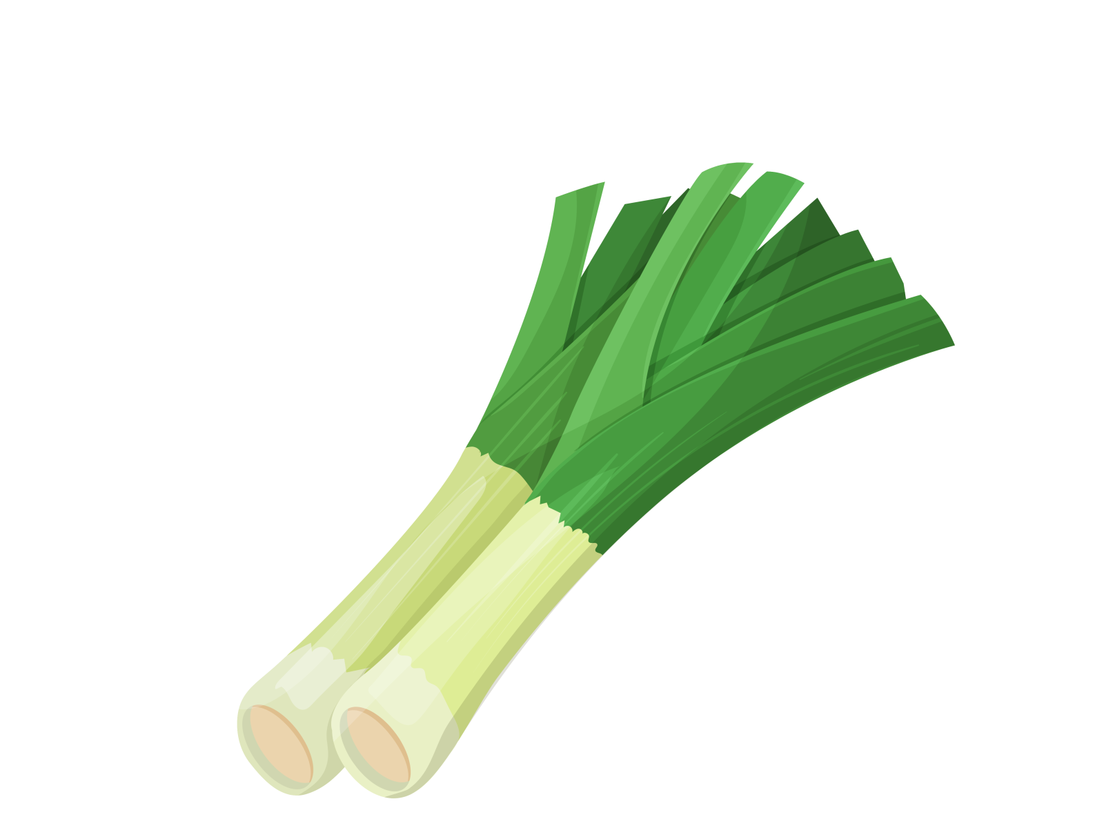 Crops design art vector by Tusher dey on Dribbble