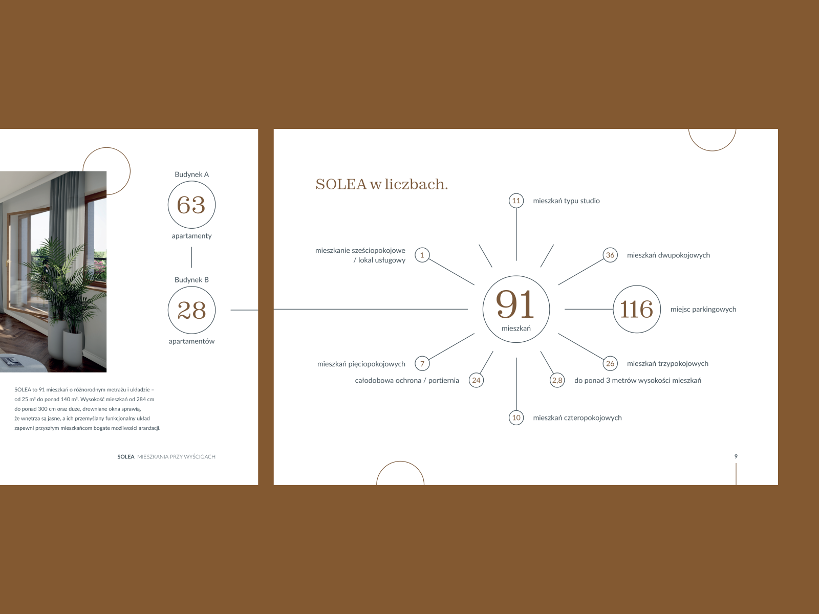 SOLEA – brochure layout by Leniva° Studio on Dribbble