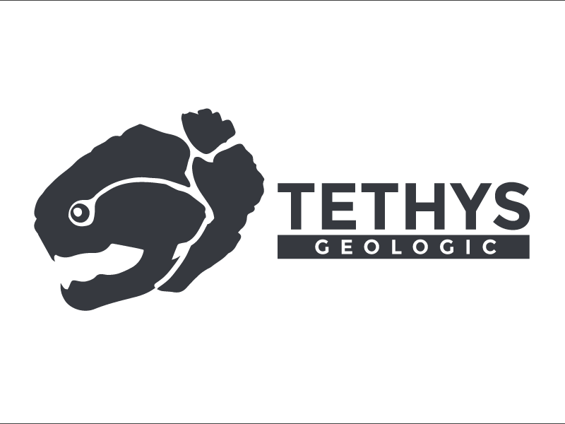 Tethys Geologic Logo Design by Rohan Bhangui on Dribbble