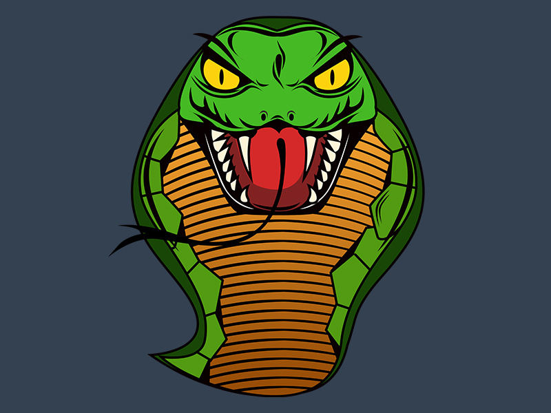 snake by JaneTu on Dribbble