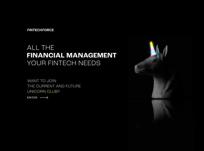 Fintechforce by Egle on Dribbble