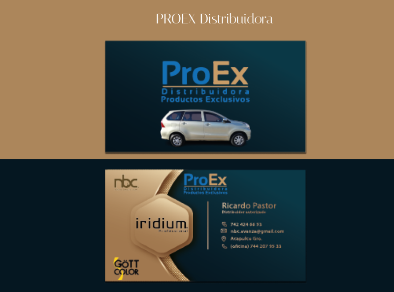 PROEX | Business card by Maria Pastor on Dribbble