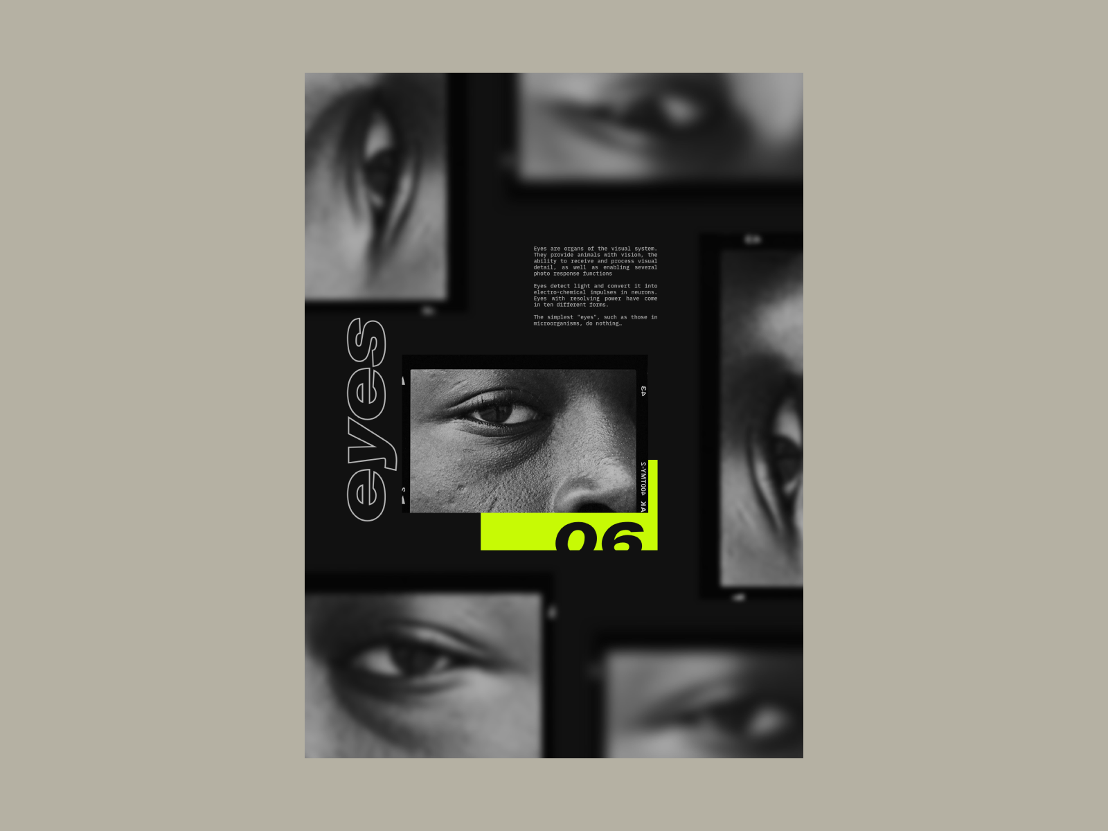 Eyes by Irakli Margania on Dribbble