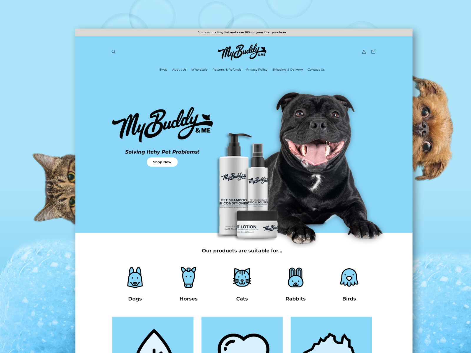 My Buddy & Me | Website Design by Francis Lundy for Insil on Dribbble