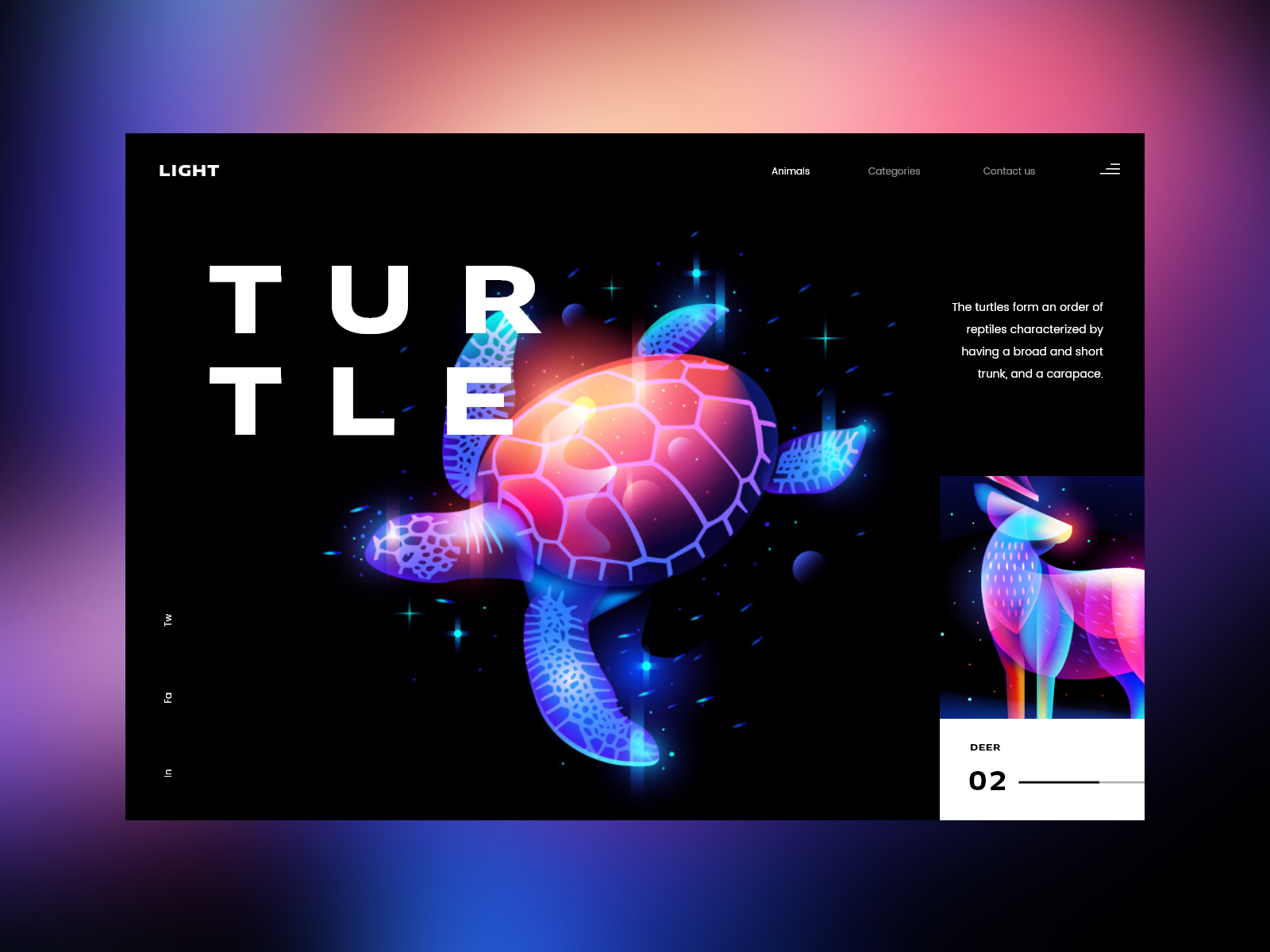 Animal lights: Turtle by Brandbox on Dribbble