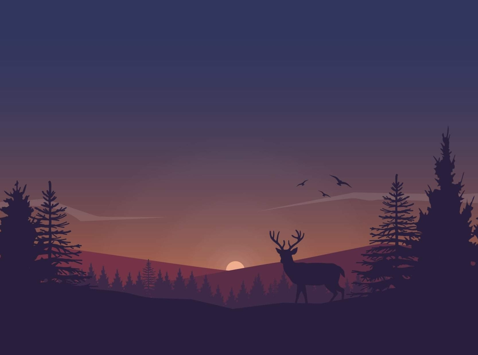 Adam Smallman | Dribbble