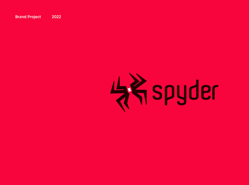 spyder studio | Dribbble