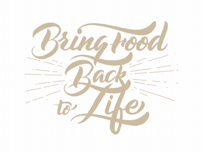 Animated Logos designs, themes, templates and downloadable graphic ...