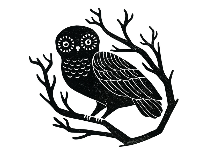Owl by Jessica Benhar on Dribbble