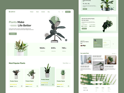 Landing page - Plants shop by fatemeh mirzadeh on Dribbble