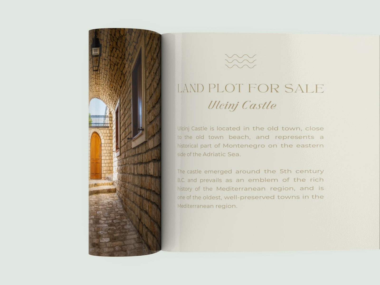 Brochure: Visual Identity Design by Lilly Leana Johansen on Dribbble