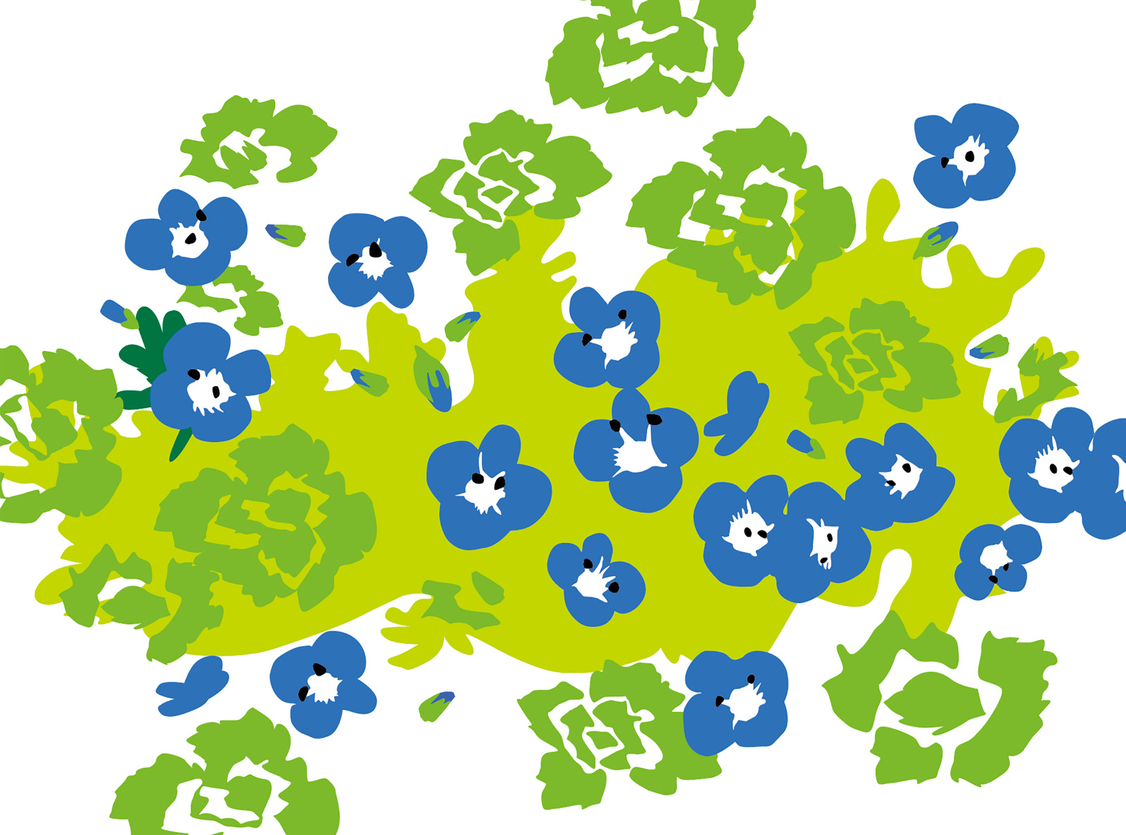 Persian speedwell by MW&Co. on Dribbble